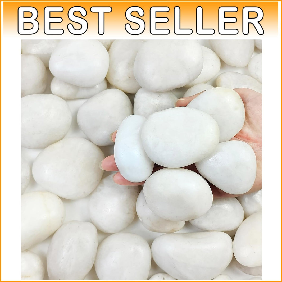 Elegant 20lbs White Pebbles - Ideal for Landscaping, Planters & Creati ...